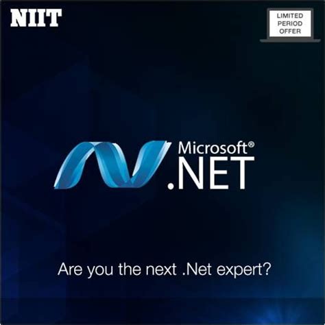 Microsoft Net Program Helps Babe Skill Themselves In The Fast Growing NET Development