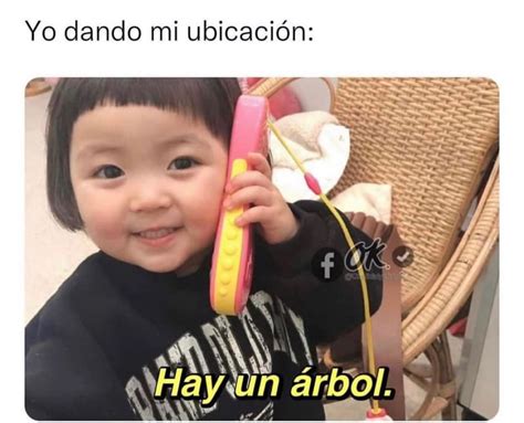 Yo Dando Mi Ubicación Hay Un árbol Memes