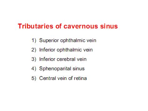 Dural Venous Sinuses Pdf