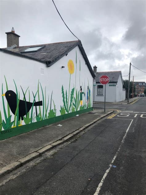 Pin By Sarah Brown On Street Art In Dublin Street Art Street Dublin