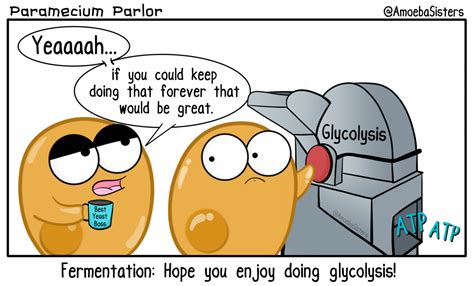Fermentation Hope You Like Doing Glycolysis Biology Humor Teaching Biology Science Humor