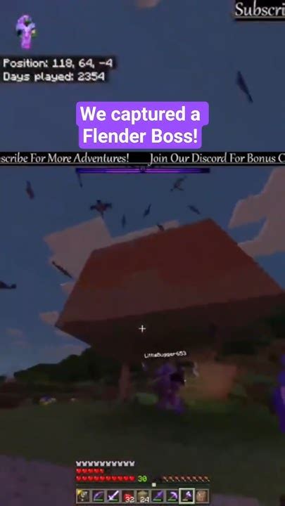 We Captured A Flender For The Experience Youtube