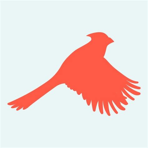 Meet Stacey — Red Cardinal Counselling