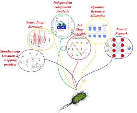 bacterial foraging optimization algorithm bfoa inspired from social