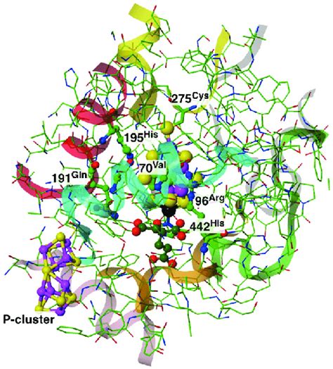 The Structure Of Protein Pdb 3u7q Surrounding Femo Co Which Is At