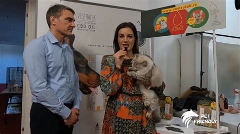 Video Aleksandar Vujicic On Linkedin Mrnjau Fest