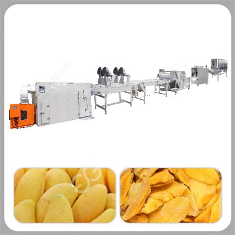 Fully Automatic Dried Mango Fruits Processing Machine