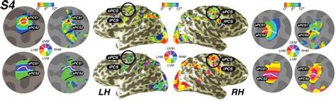 Figures And Data In Visual Field Map Clusters In Human Frontoparietal