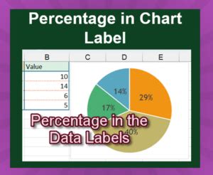 Percentage Data Label In Your Excel Chart