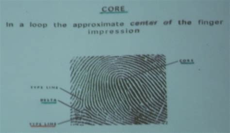 Fingerprints Points Type And Classification — 2016wpa Crime Writer Sue Coletta