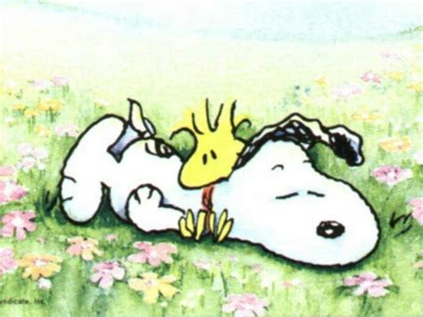 Peanuts Snoopy Snoopy Wallpaper Snoopy Cartoon