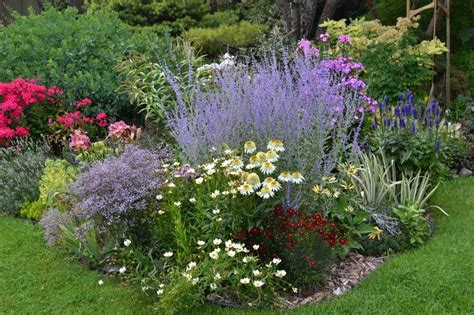 Russian Sage Companion Plants Plant Ideas