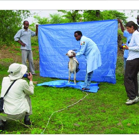 Agin Icp In Action Ethiopia Note The Photographer Position And Download Scientific Diagram