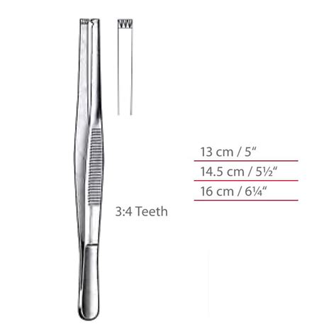 Tissue Grasping Forceps With 3 X 4 Teeth Surgical Instruments Veterinary Tools Episurg Group