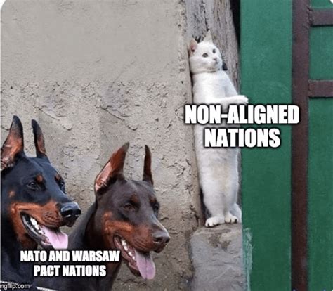 Non Aligned Movement Meme Rhistorymeme