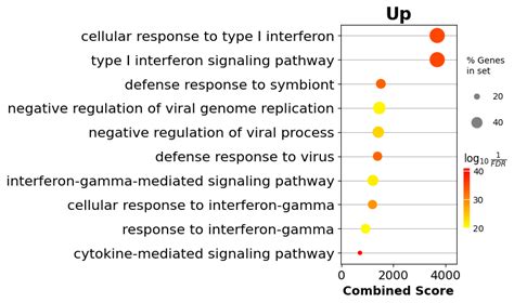 4 Scrna Seq Example — Gseapy 118 Documentation