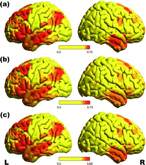 Roi Based Classification Accuracies For Within Sample Cross Validation Download Scientific