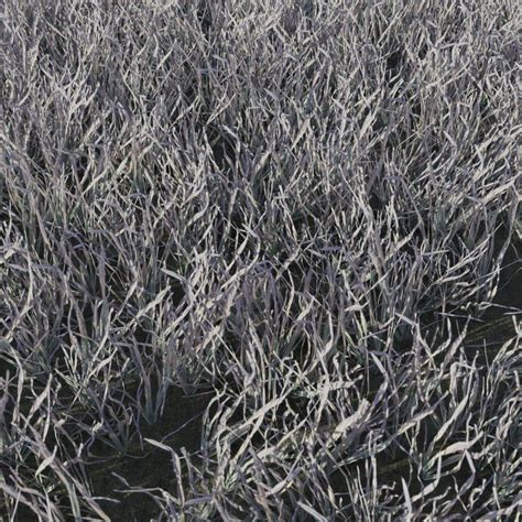 Grass Small Clump Dry Grass Models Blenderkit