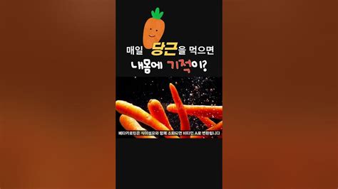 매일 당근을 먹으면 기적같은 일이 당근의 놀라운 효능 Youtube