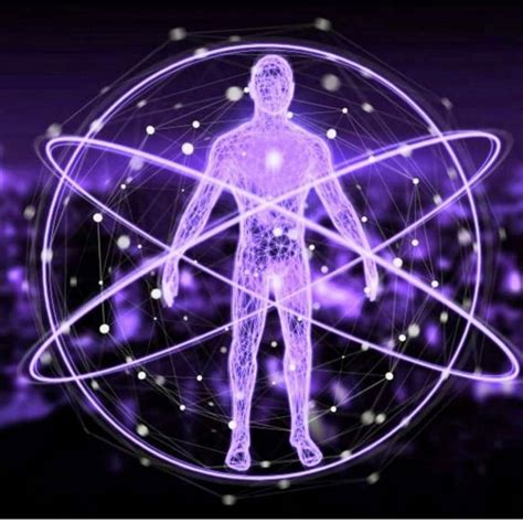 چك آپ تمامي اعضاي بدن