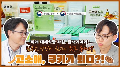 고소애 몸에도 좋고 맛도 좋은 미래 식량👍 다름아닌 식용 곤충이라고😲 L 고소애 이야기 Youtube