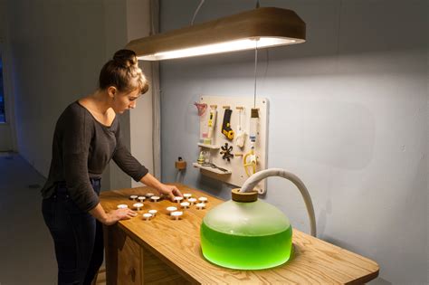 10 Benefits Of Algae Lamps Warisan Lighting