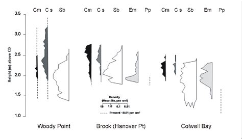 Vertical Intertidal Distribution Of Barnacle Species At Three Locations Download Scientific