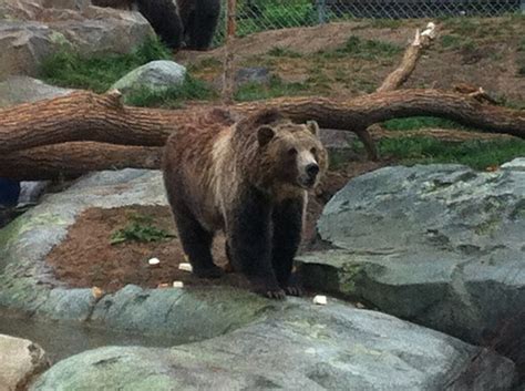 Utahs Hogle Zoo Salt Lake City Ut Hours Directions Reviews