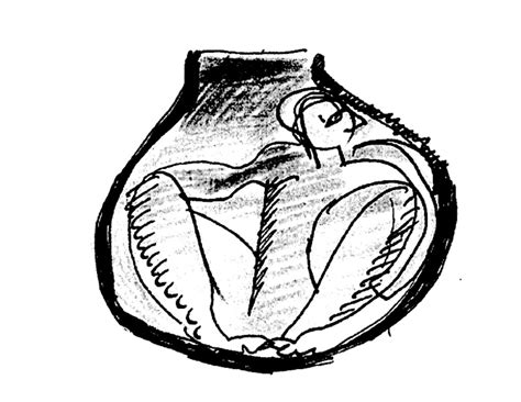 Descubre Qué Misterioso Alimento Sustenta La Fuerza De Los Hormigones