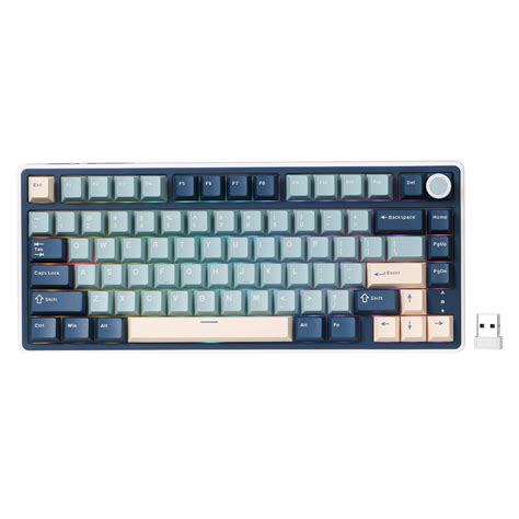 Rk Royal Kludge M87 80 Tkl Gasket Mount Wireless Gaming Keyboard Rk