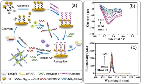 Biosensors For Detection Of Airborne Pathogenic Fungal Spores A Review Nanoscale Rsc