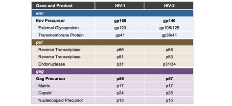 Core Concepts HIV 2 Infection Key Populations National HIV Curriculum