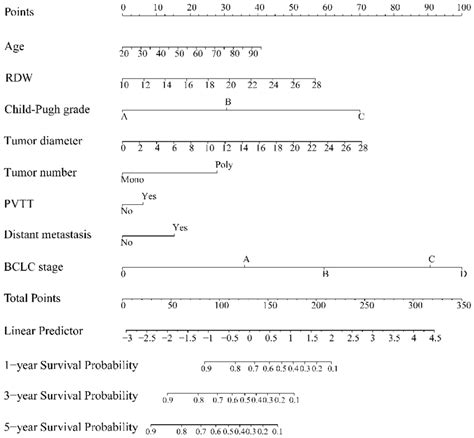 Survival Nomogram For Patients With Hbv Related Hcc Hbv Related Hcc Download Scientific