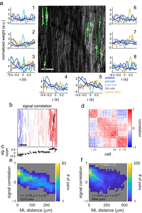 Spatial Clustering Of Cells With Similar Response Kernels A Linear Download Scientific Diagram