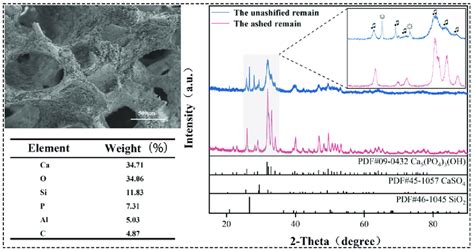 Microstructure And Composition Of Human Bone Download Scientific Diagram