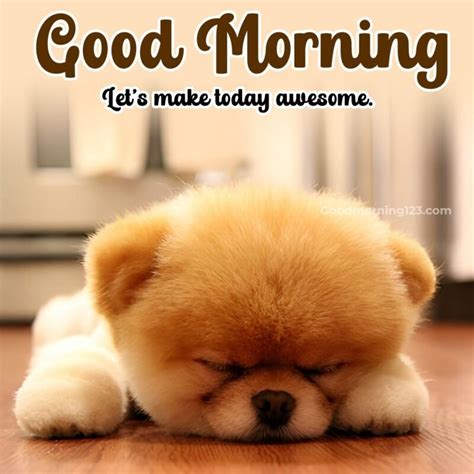 Start Your Day With Adorable Good Morning Puppies Images