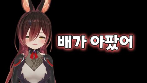 버튜버 위장염으로부터 돌아온 로보코 홀로라이브 로보코 복귀 Youtube