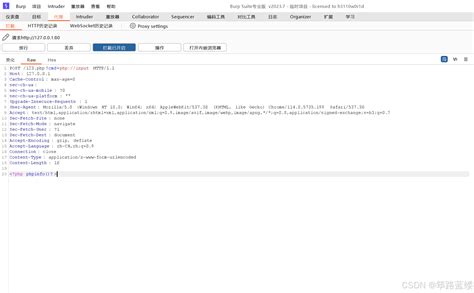 文件包含php伪协议利用方法 小皮怎么配置php伪协议访问权限 csdn博客