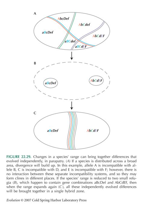Evolution Figures Chapter 22 Evolution Figures Chapter 22