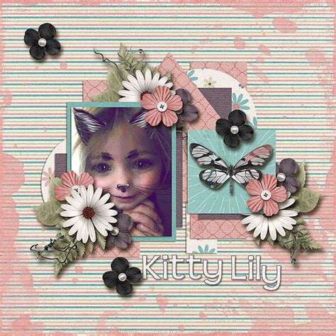 Kitty Lily Project Idea