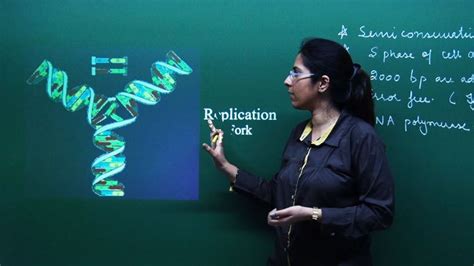Neet Biology Dna Replication Important Diagram In English