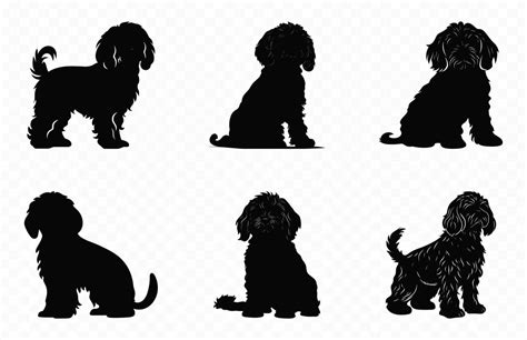 Conjunto De Cockapoo Perros Vector Negro Silueta Gratis 36892813 Vector