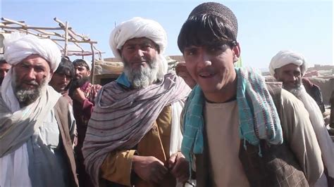 په عزنی کی د څارویو منډی Youtube