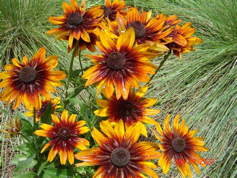 Dsc00212 Aiden Flickr