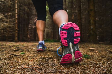 A Beginners Guide To Running Lingo None To Run