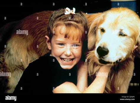 Homeward Bound Cast