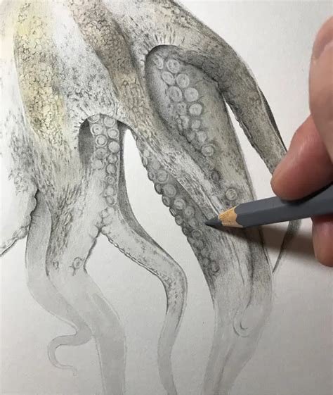 Japanese Artist Illustrates Step By Step Process On Drawing A Realistic