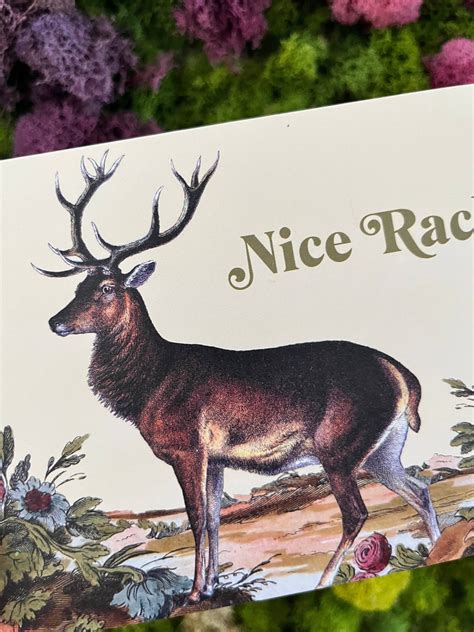 Nice Rack Funny Deer Card Love Friendship Birthday Amano Brooklyn