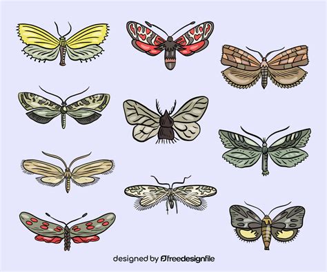 Cartoon Moths Vector Free Download