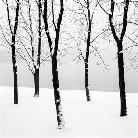 Martin Rak Photographs Einszwei Gallery